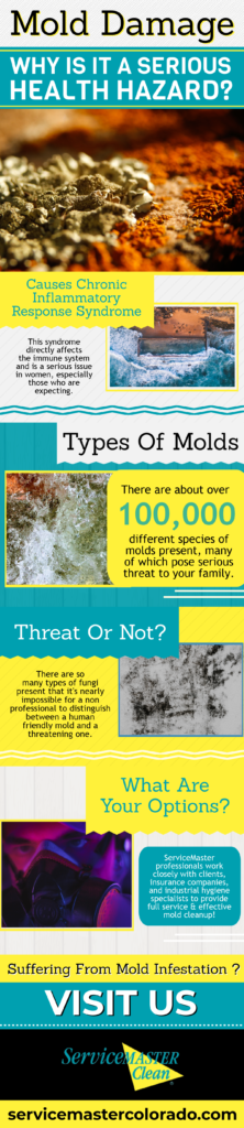 Mold Damage: Why Is It A Serious Health Hazard? – Infographic | Service ...